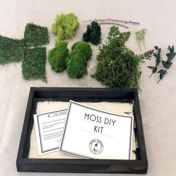 DIY Kit Preserved Moss Art Wall Decor DIY Craft Kit Kid | Etsy