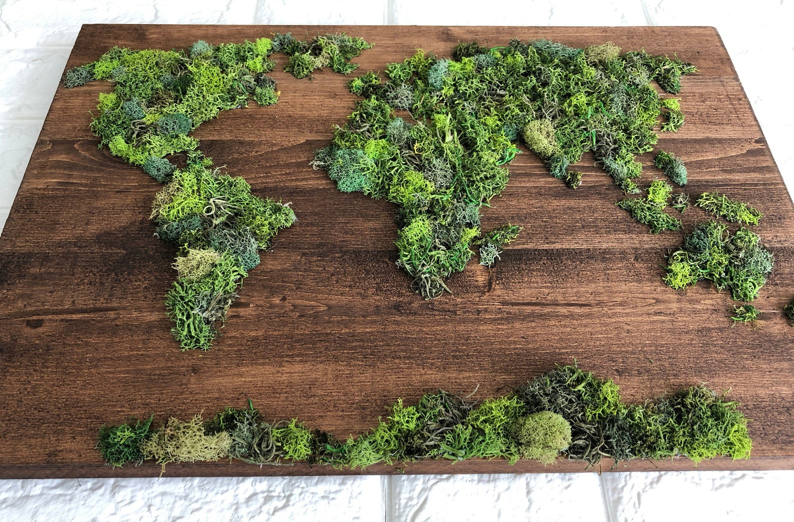 Moss Map Preserved Moss World Map Nature Inside Reindeer | Etsy