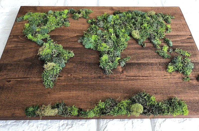 Moss Map, Preserved Moss, World Map, Nature Inside, Reindeer Moss, Cool ...