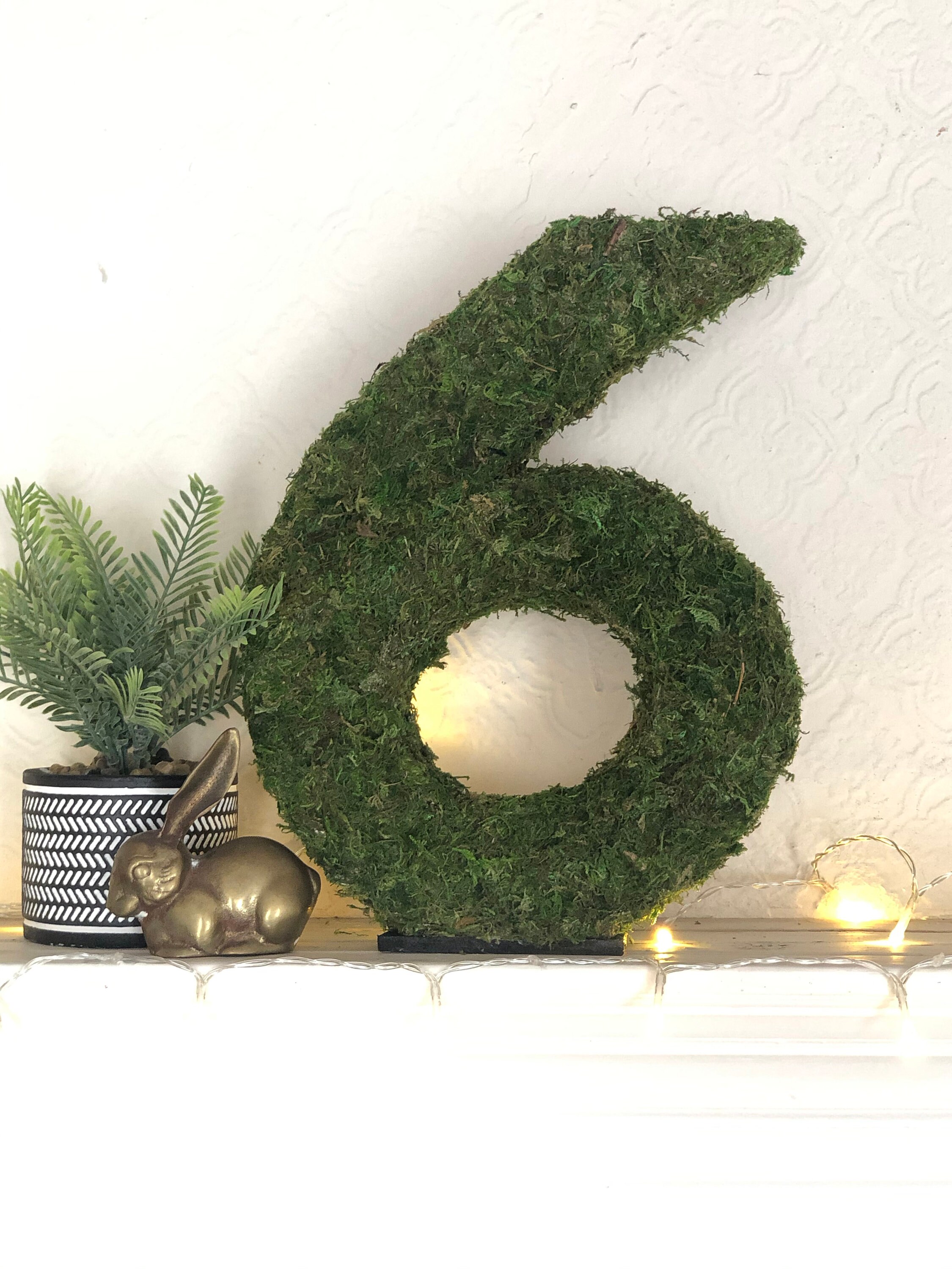12 Moss Letters Numbers Event Decorations Preserved | Etsy