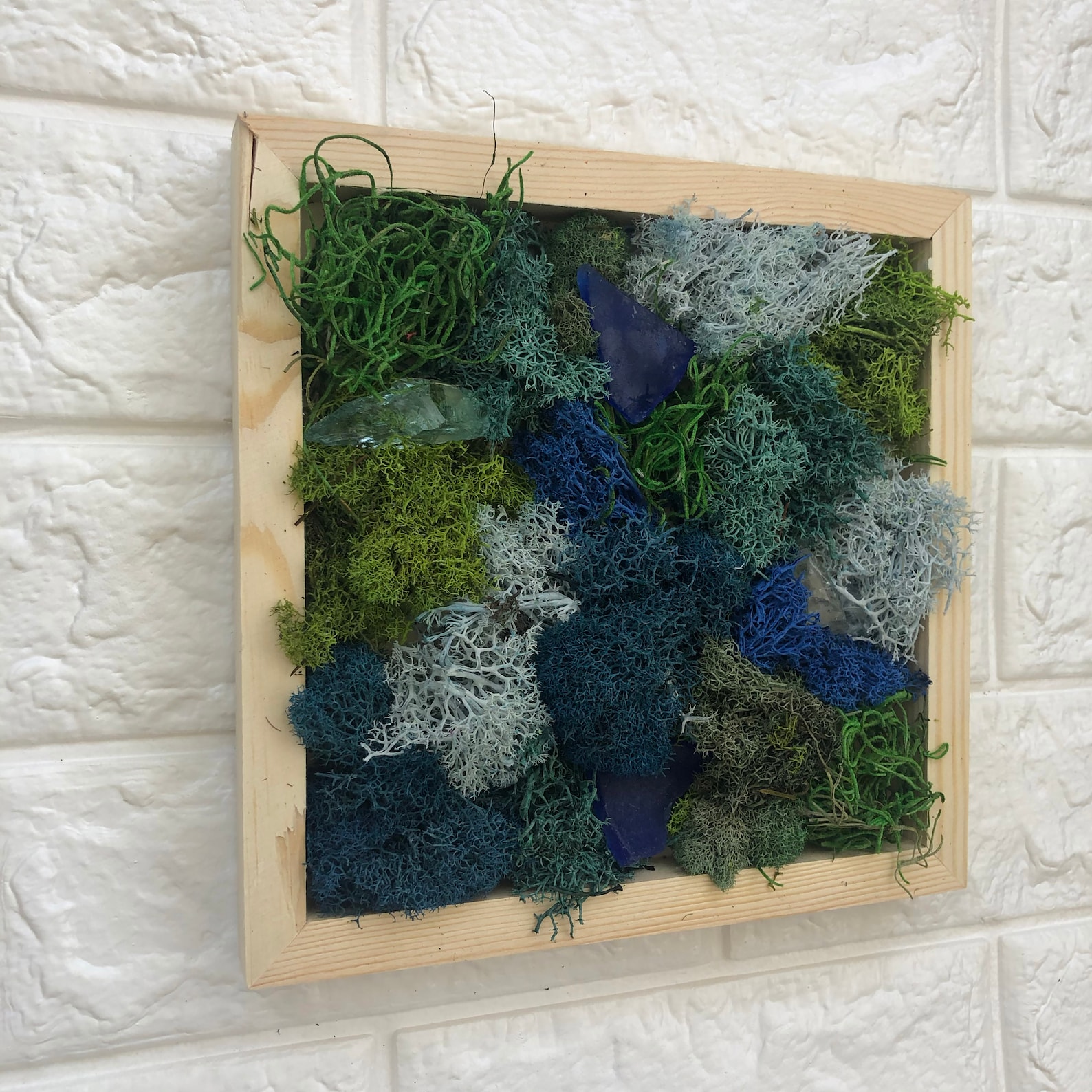 Moss DIY Kit DIY Gift Adult DIY Kit Kid diy Moss Box | Etsy