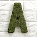 8" Moss Letters, Moss Numbers, Party Decoration, Preserved Moss, Unique ...