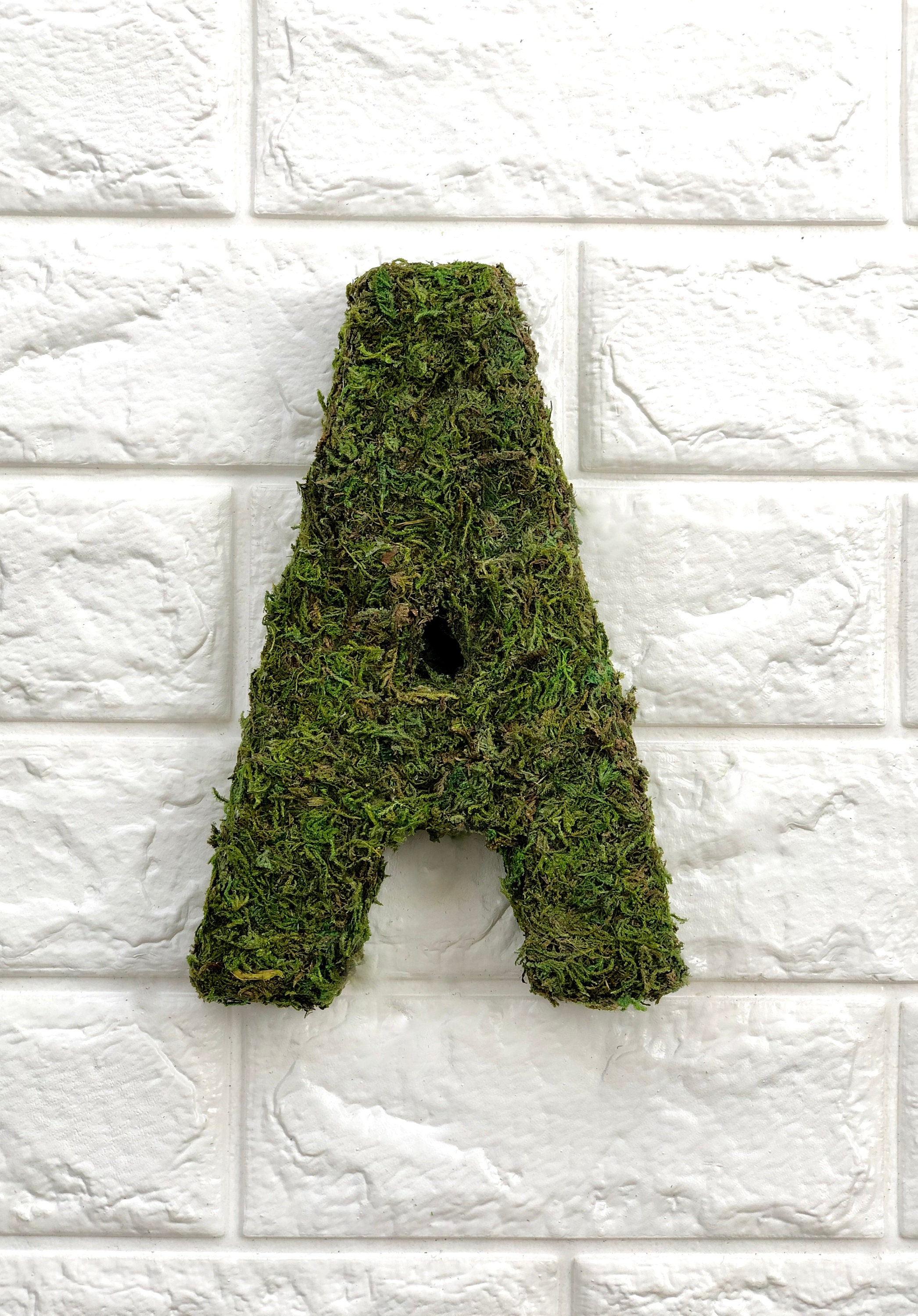 8 Moss Letters Moss Numbers Party Decoration | Etsy