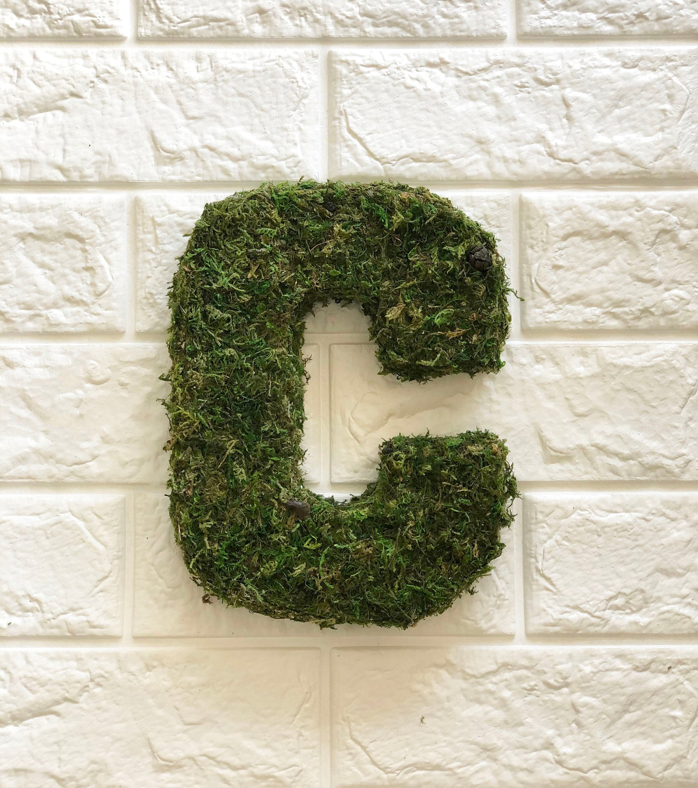 8" Moss Letters, Moss Numbers, Party Decoration, Preserved Moss, Unique ...
