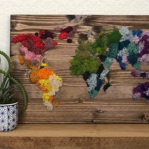 Moss Map, Preserved Moss, World Map, Nature Inside, Reindeer Moss, Cool ...