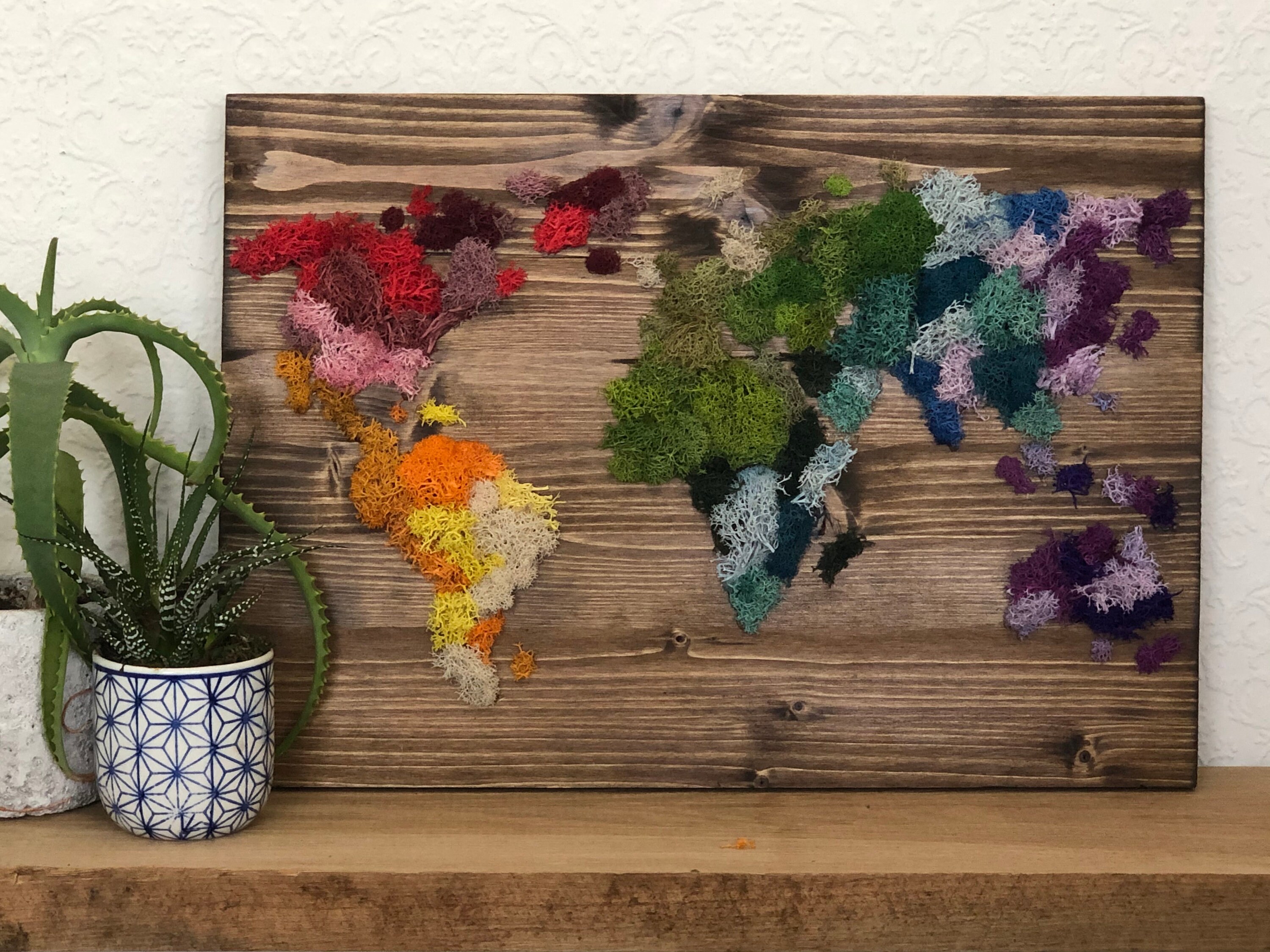 Moss Map, Preserved Moss, World Map, Nature Inside, Reindeer Moss, Cool ...