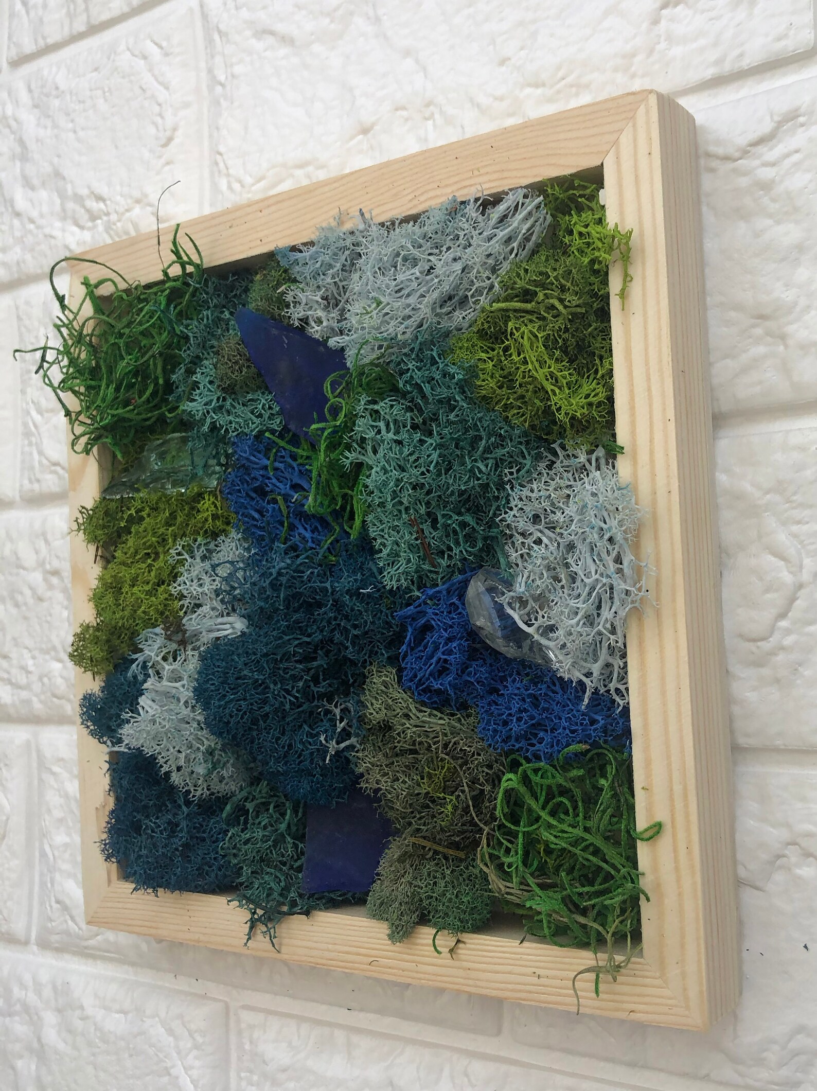 Moss DIY Kit DIY Gift Adult DIY Kit Kid diy Moss Box | Etsy