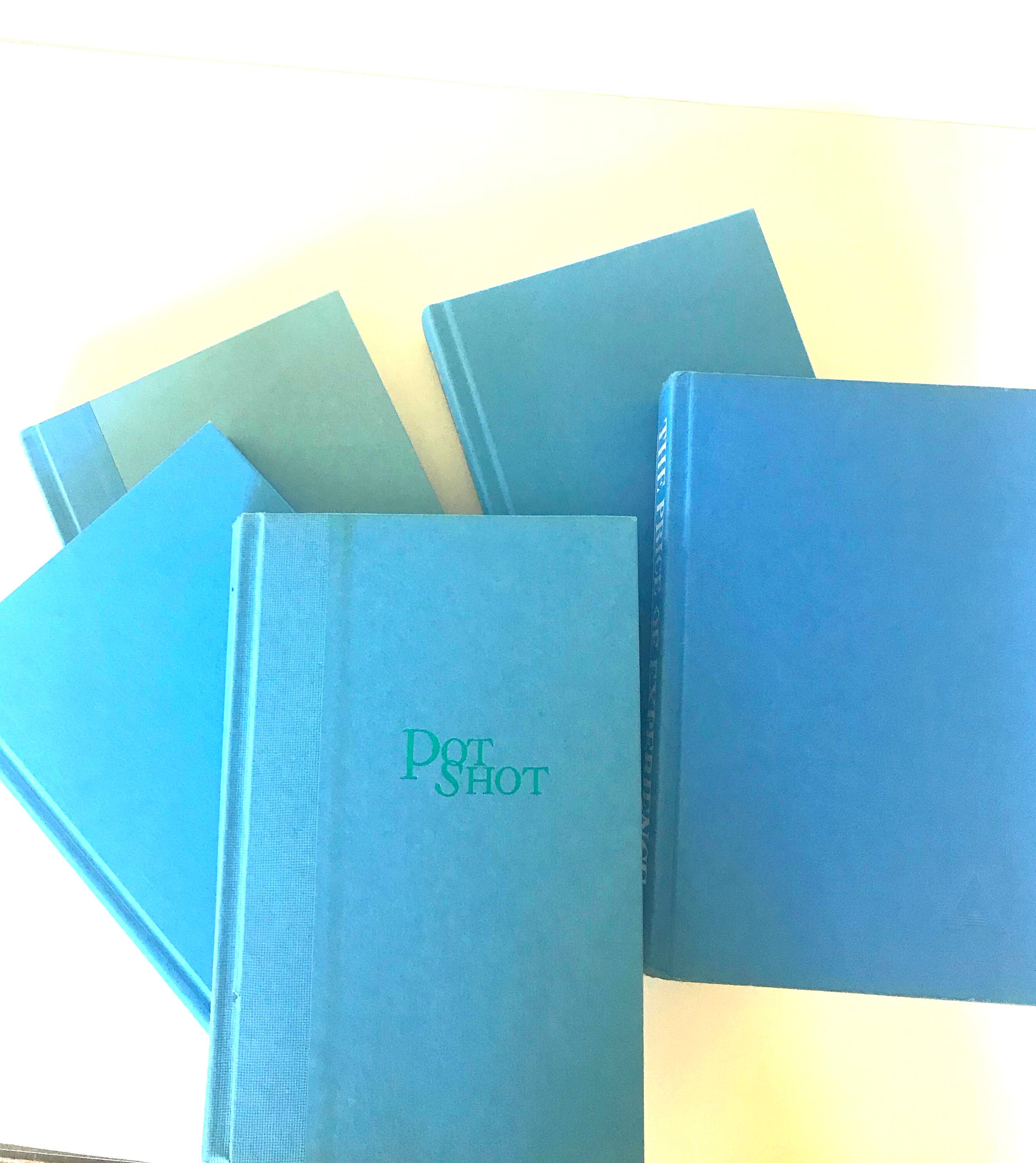 Sky Blue Vintage Books/book Decor/farmhouse Books/old Books/decorative ...