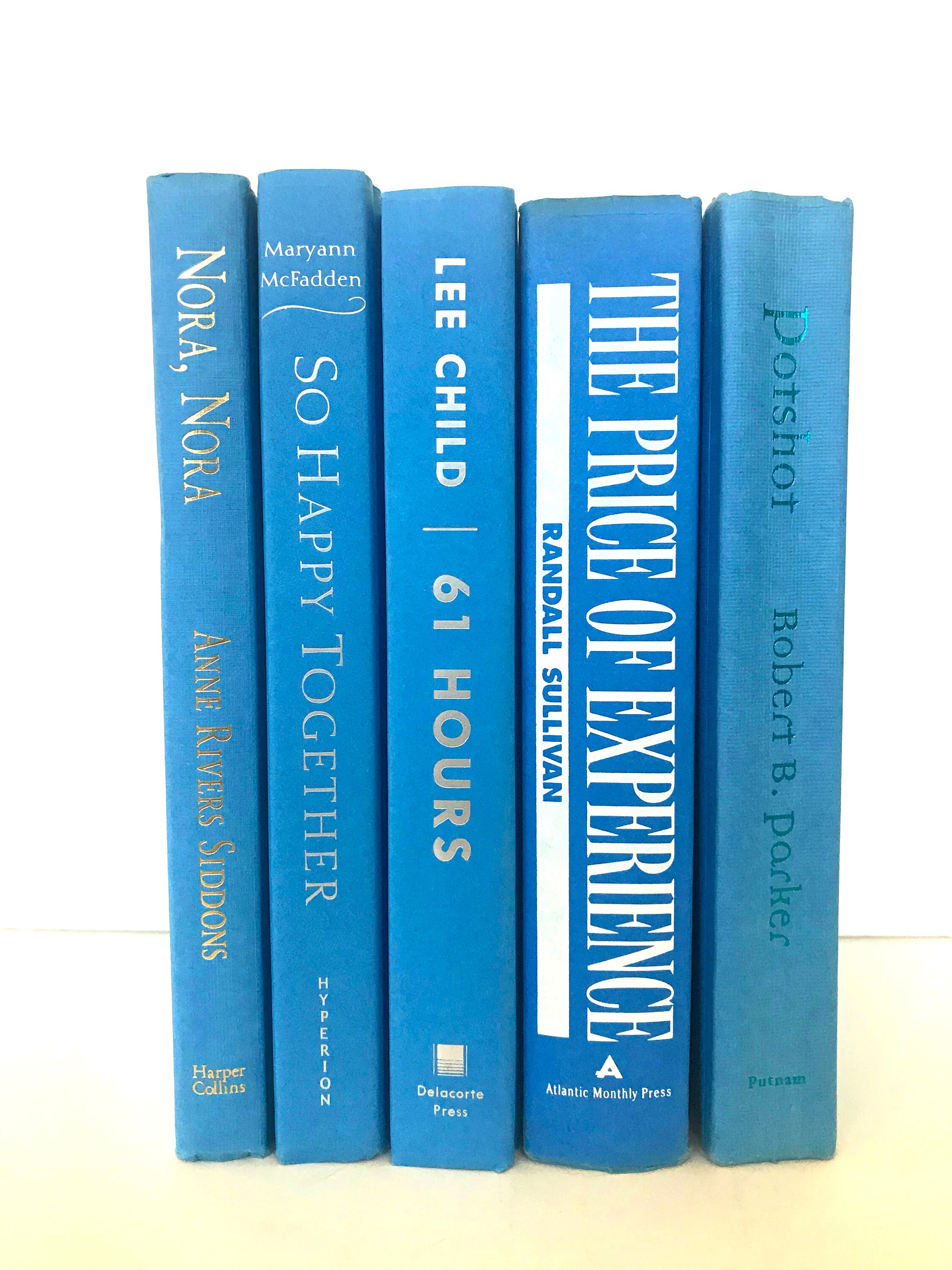 Sky Blue Vintage Books/book Decor/farmhouse Books/old Books/decorative ...