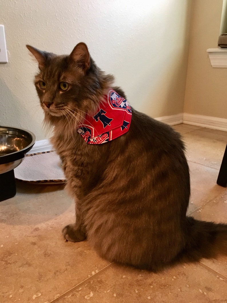 Philadelphia Phillies Dog and Cat Bandanas - Etsy