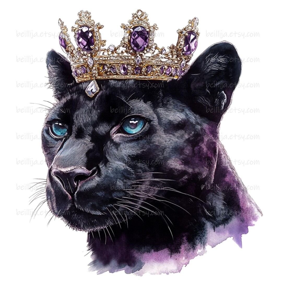 24 Black Puma King Clipart, Watercolor Illustration, Transparent ...