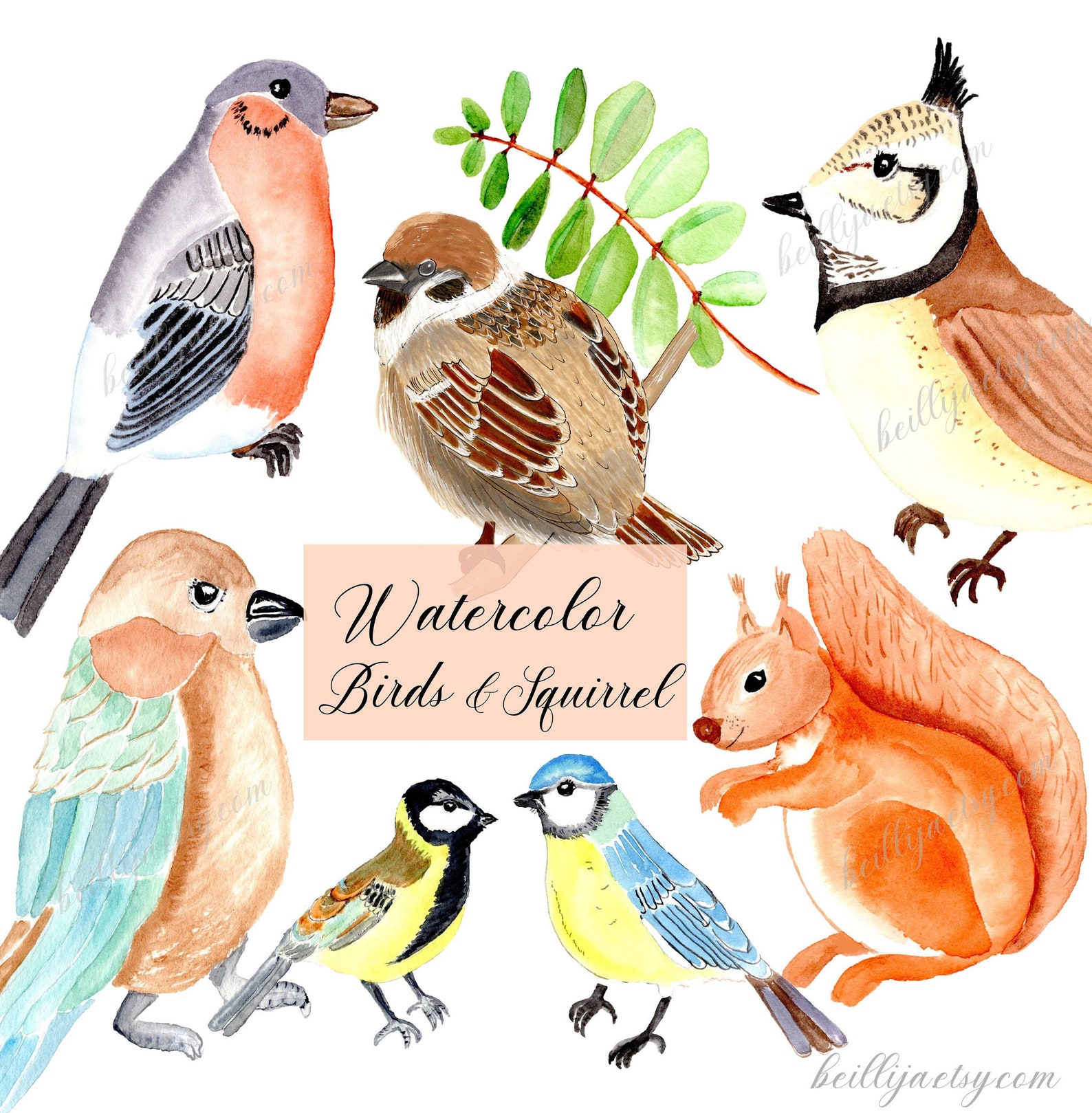 Watercolor Clipart Birds Clipart Bird Watercolor Clipart - Etsy