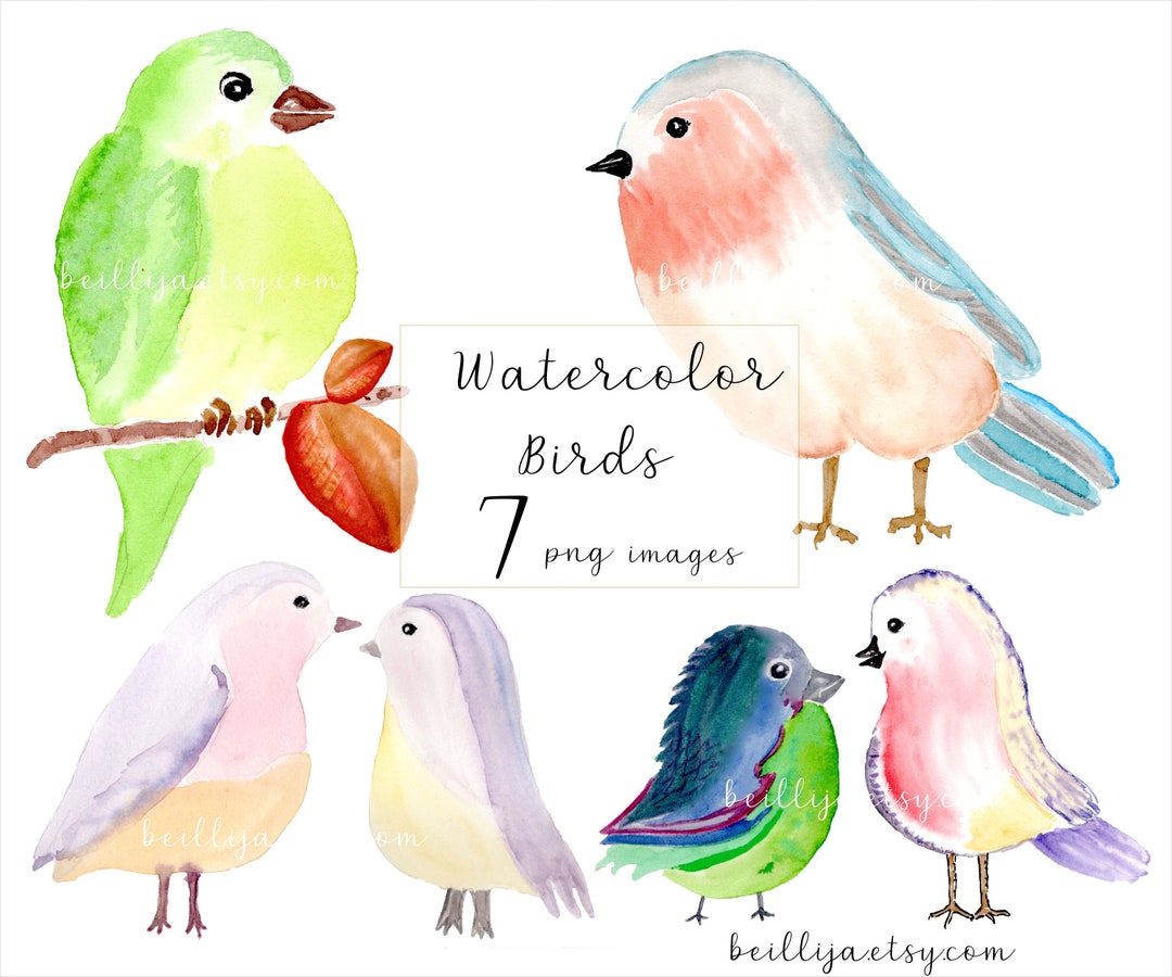 Watercolor Clipart Birds Clipart Bird Watercolor Clipart - Etsy