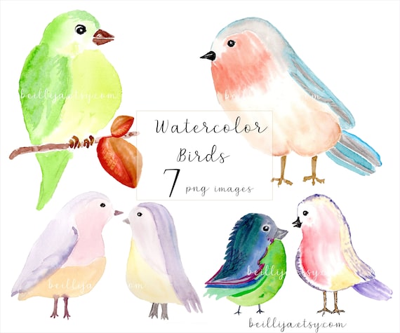 Forest Birds Clipart