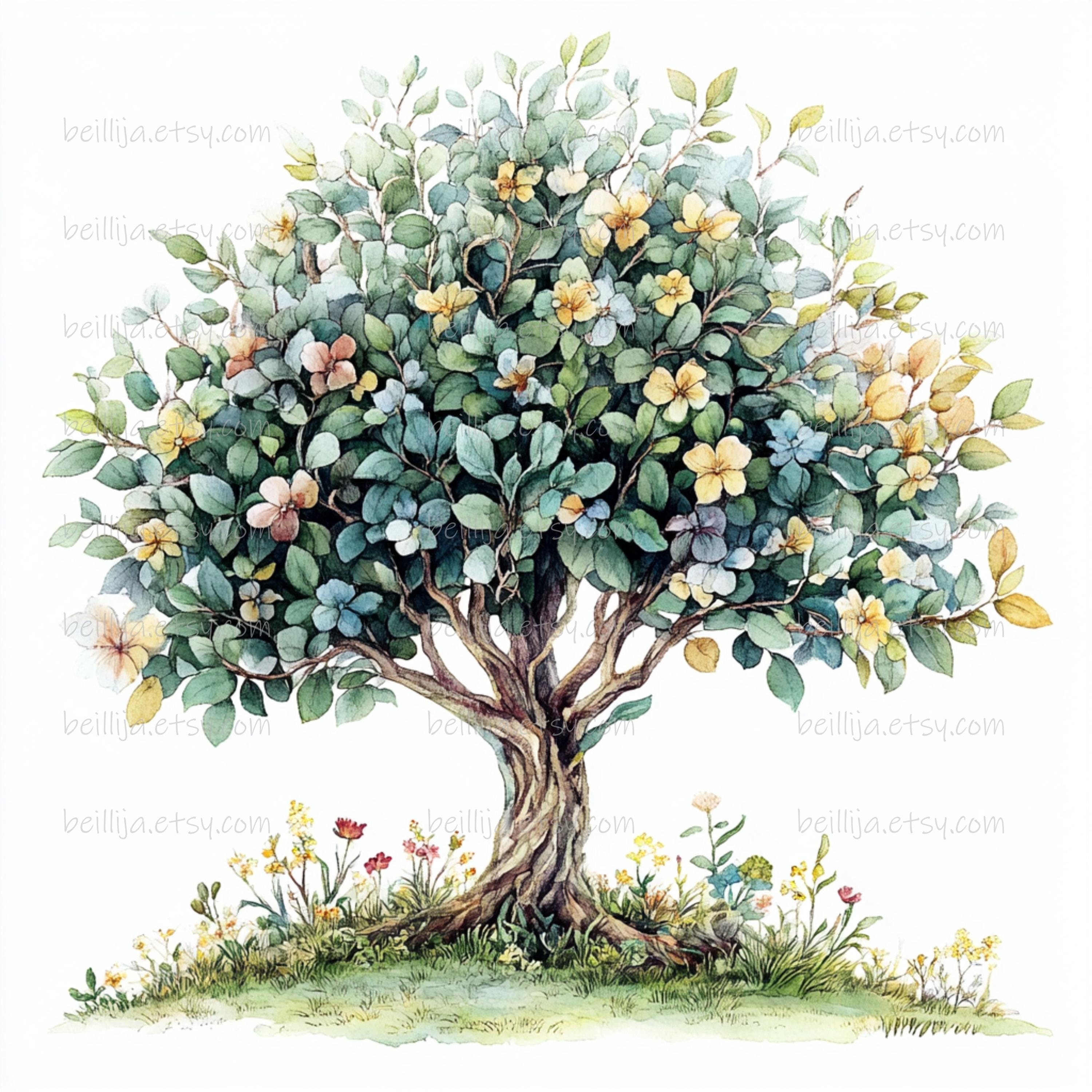 Watercolor Tree of Life Clipart: Spring Printable Clip Art (40 JPG & 34 ...