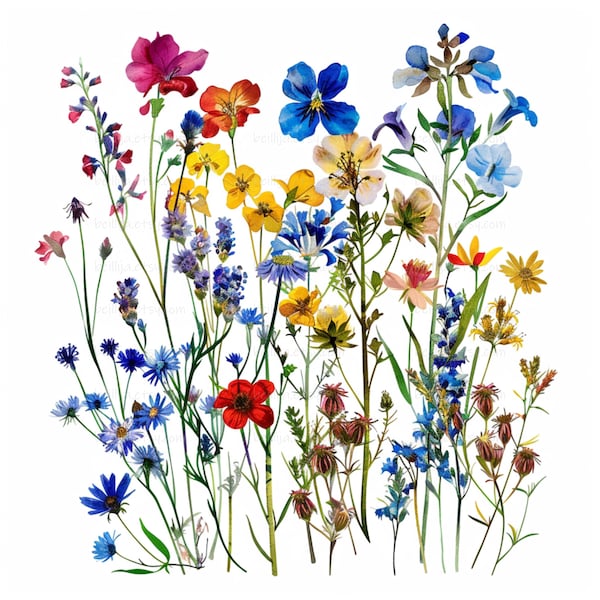 Wildflower Clip Art - Etsy