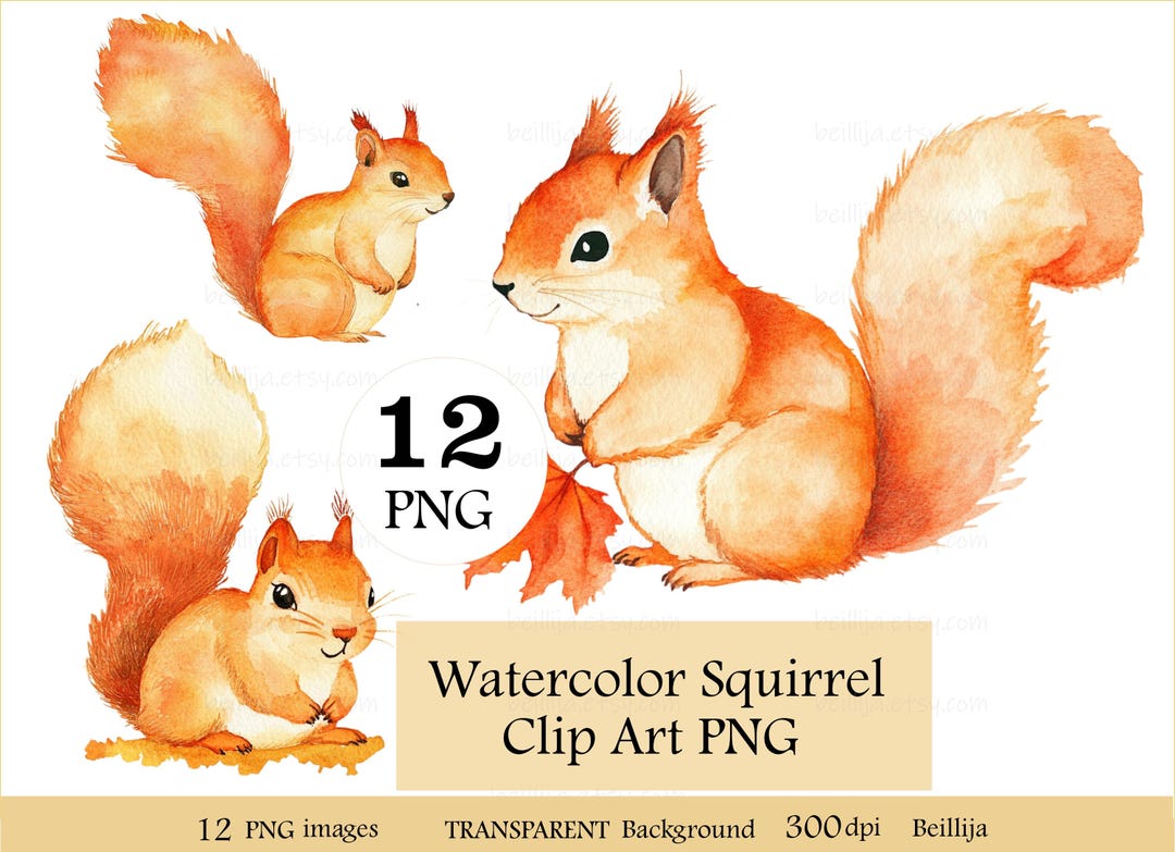 12 Cute Squirrels Watercolor Illustrations Clipart, Transparent ...