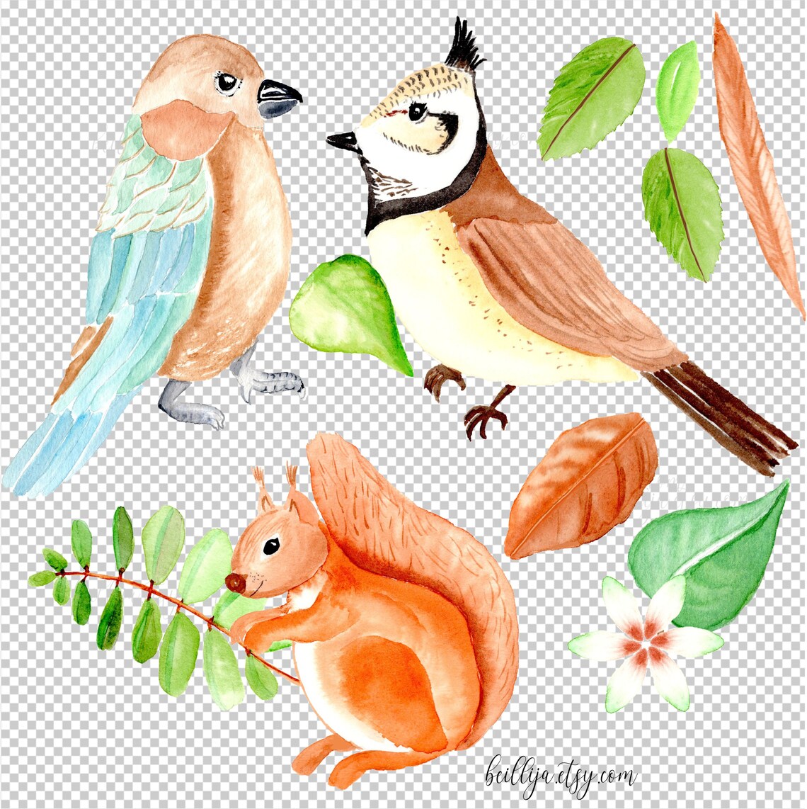 Watercolor Clipart Birds Clipart Bird Watercolor Clipart - Etsy