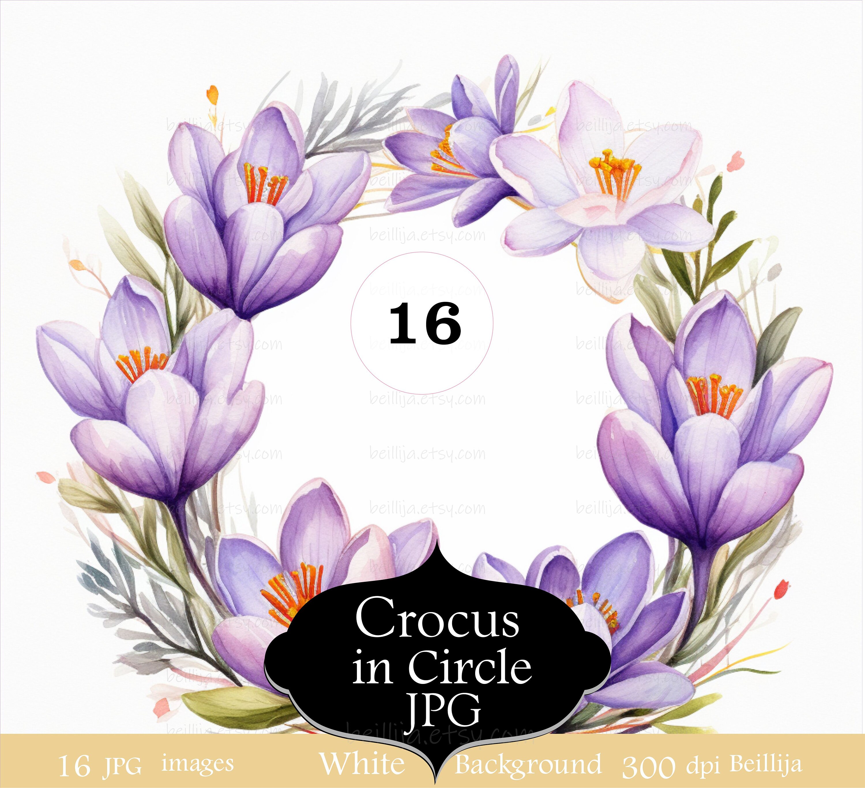 16 Purple Crocus Clipart, Watercolor Clipart, Garden Flowers Wreath ...