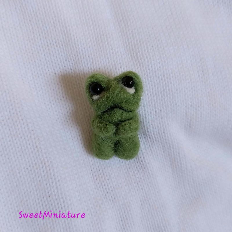 Needle Felted Frog - Etsy
