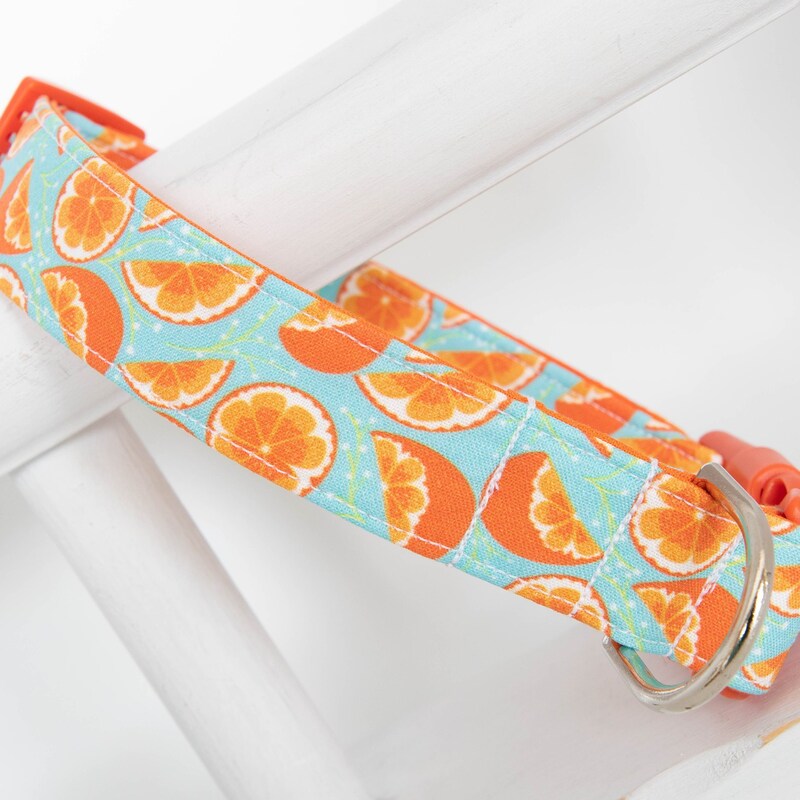 Orange Dog Collar - Etsy