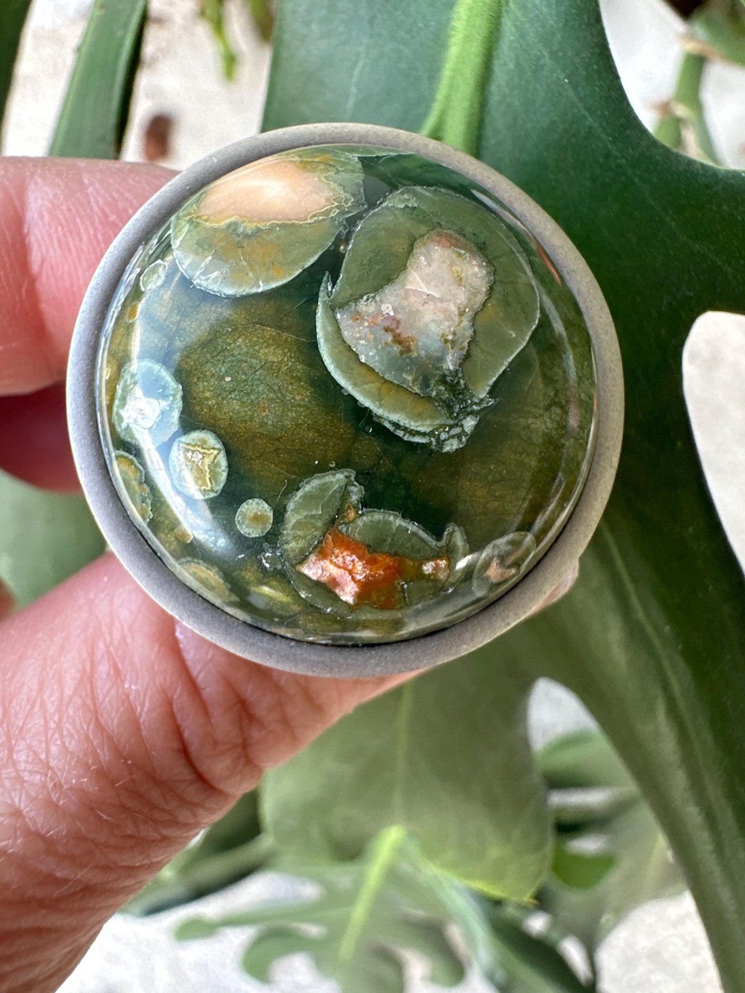 Green Knobs Cabinet Knob Safari Decor Forest Decor Rainforest Green Decor Home Decor Green ...