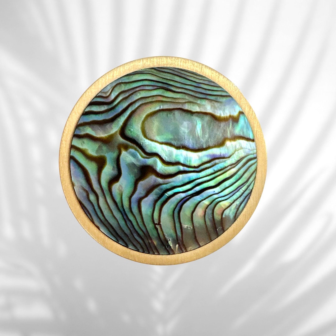 Abalone Cabinet Knob Paul Shell Drawer Pull Tropical Glam Ocean ...