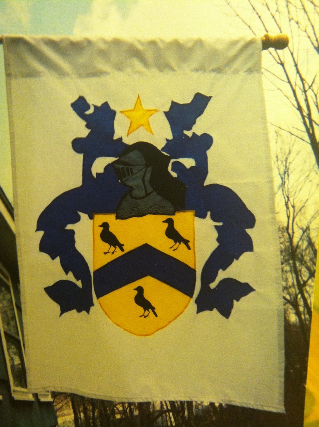 Family Coat of Arms Flag, 3' X 5' - Etsy