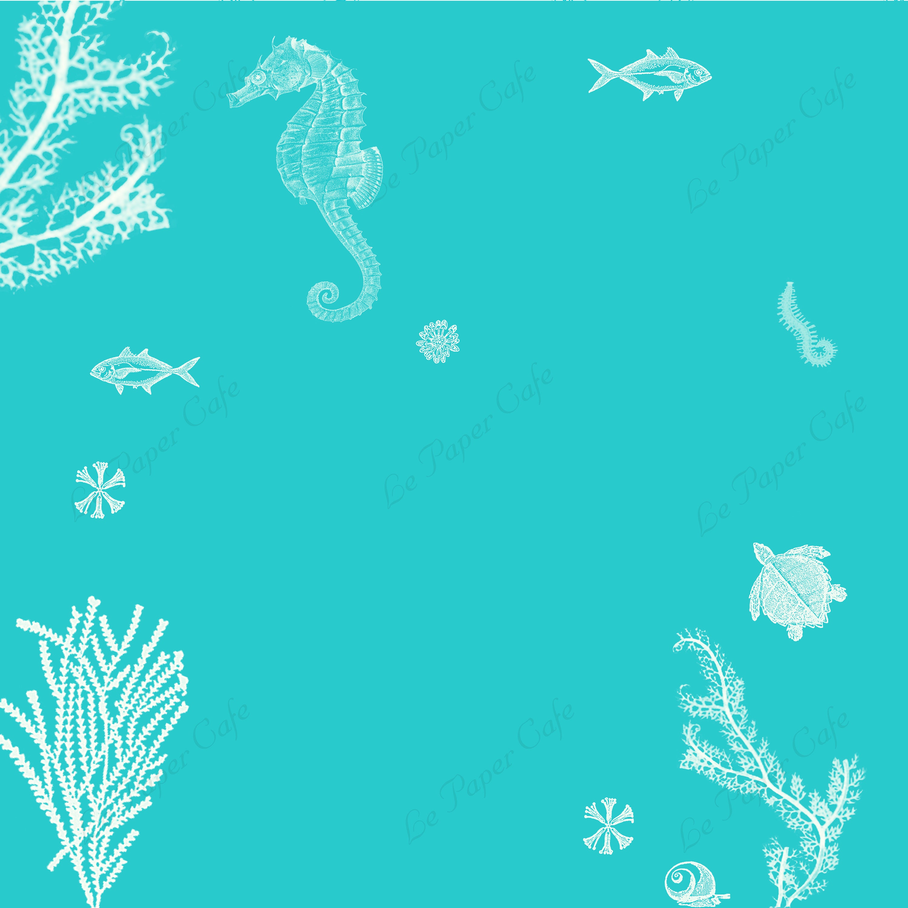 Sand & Sea Background Papers Collection and Design Templates ...
