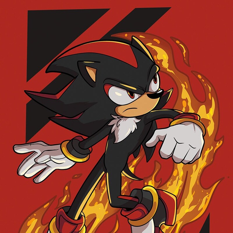 Shadow the Hedgehog Banner - Etsy