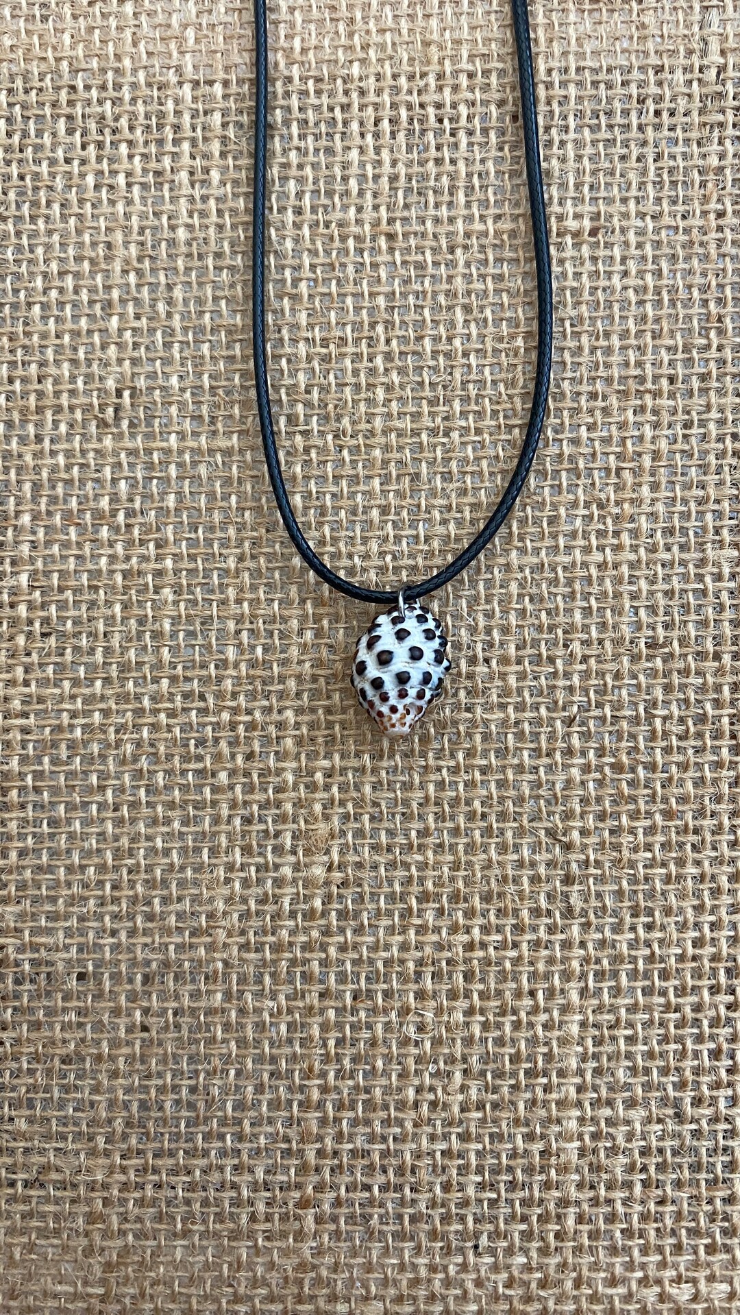 Hawaiian Drupe Shell Faux Leather Necklace, Grape Drupe Shell, Knobbed ...