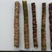 Varied Lot of 5/10/20/50 Red Ti Plant Cordyline Terminclis Cuttings ...