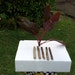 Varied Lot of 5/10/20/50 Red Ti Plant Cordyline Terminclis Cuttings ...