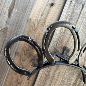 Horseshoes Garden Hose Holder / Bridle Strap Holder - Etsy