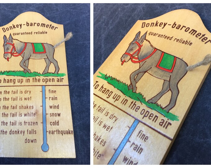 60's Donkey-barometer Humor West Germany Mid Century Thermometer - Etsy