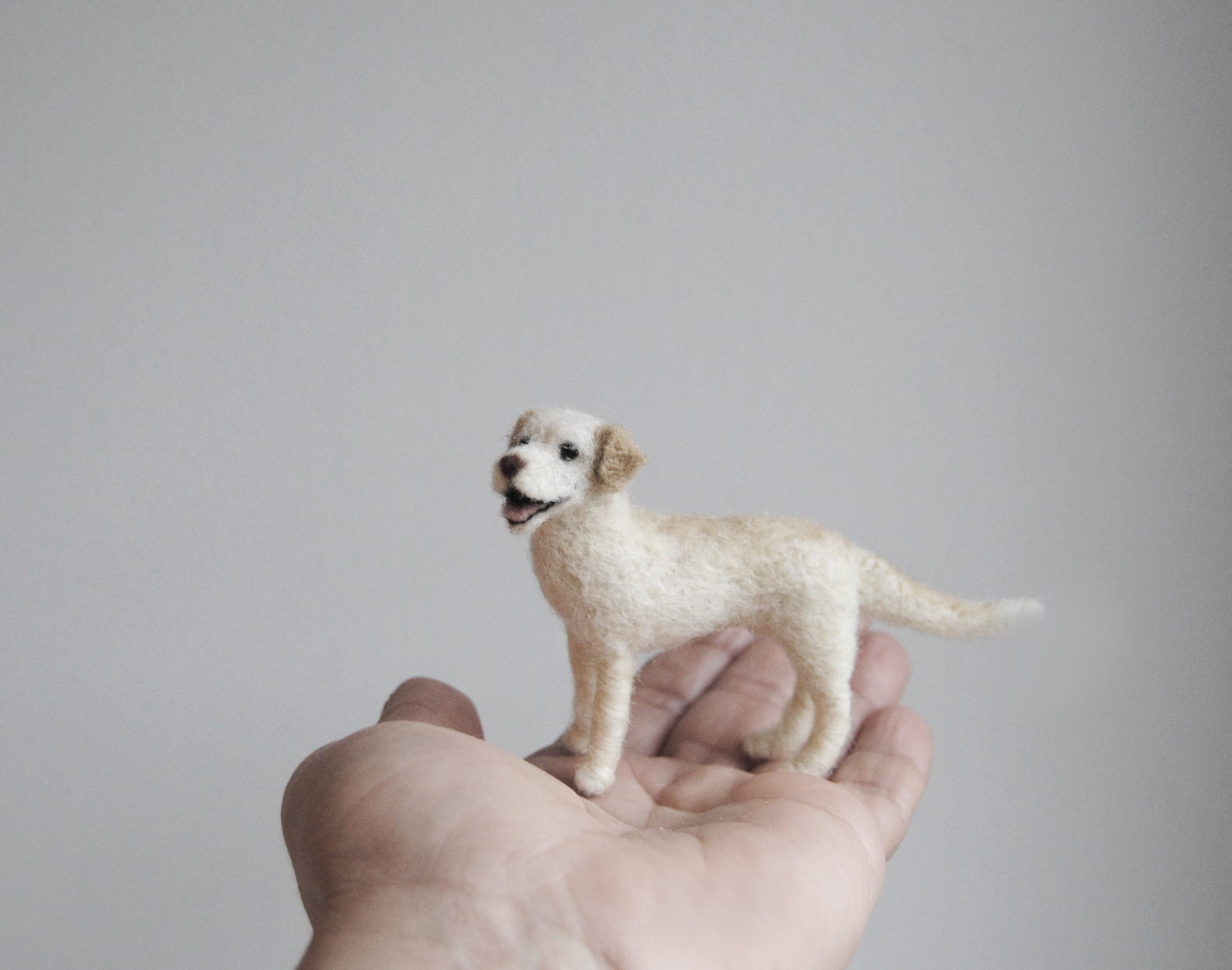 Custom Made Pet Portrait SMALL SIZE Personalized Felt - Etsy