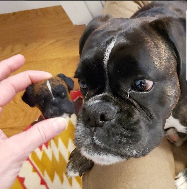 Custom Made Dog Brooch Personalized Dog Lover Gift Dog Pin | Etsy