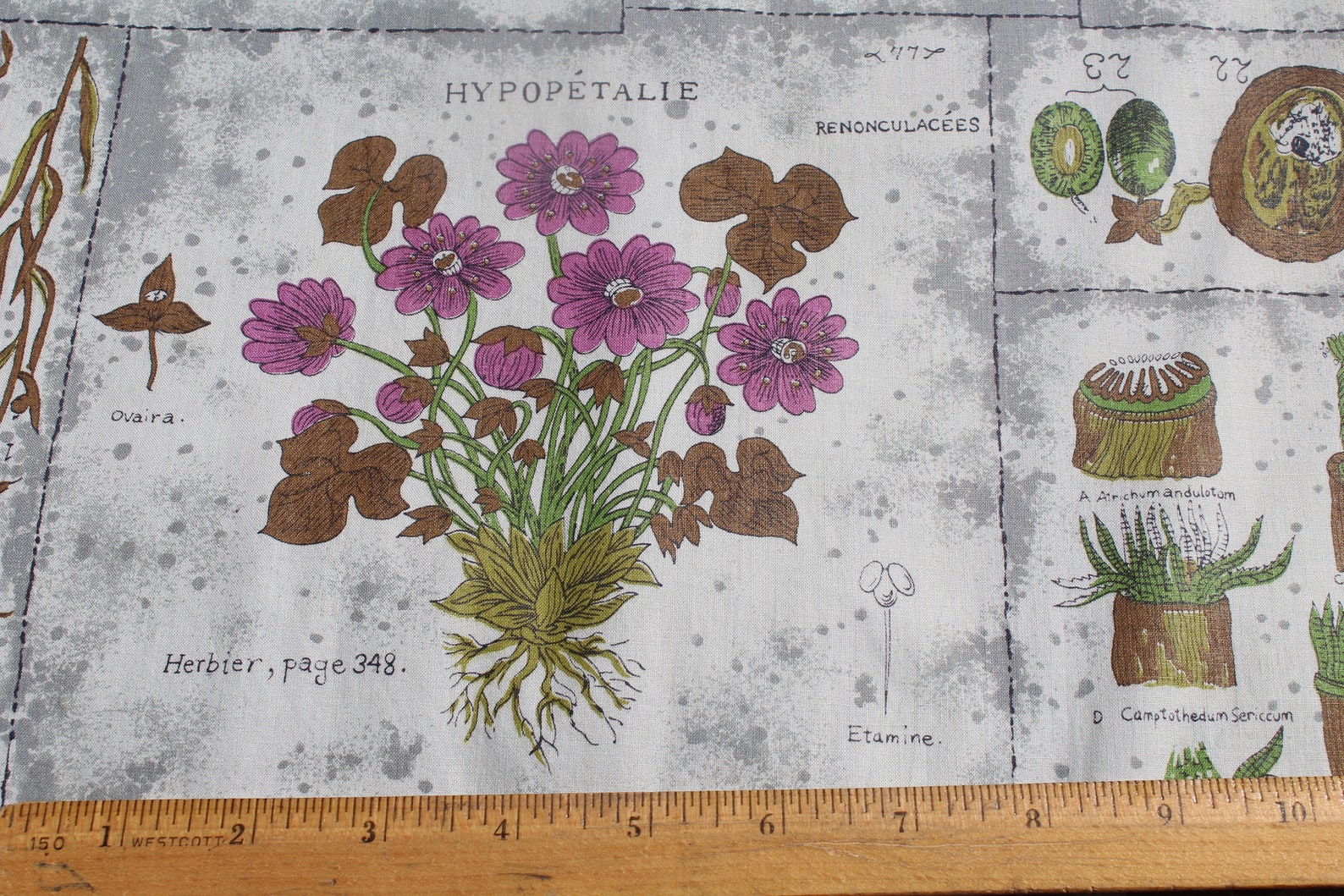 Botanical Flowers Butterfly Fabric by the Yard Herbs Pale - Etsy