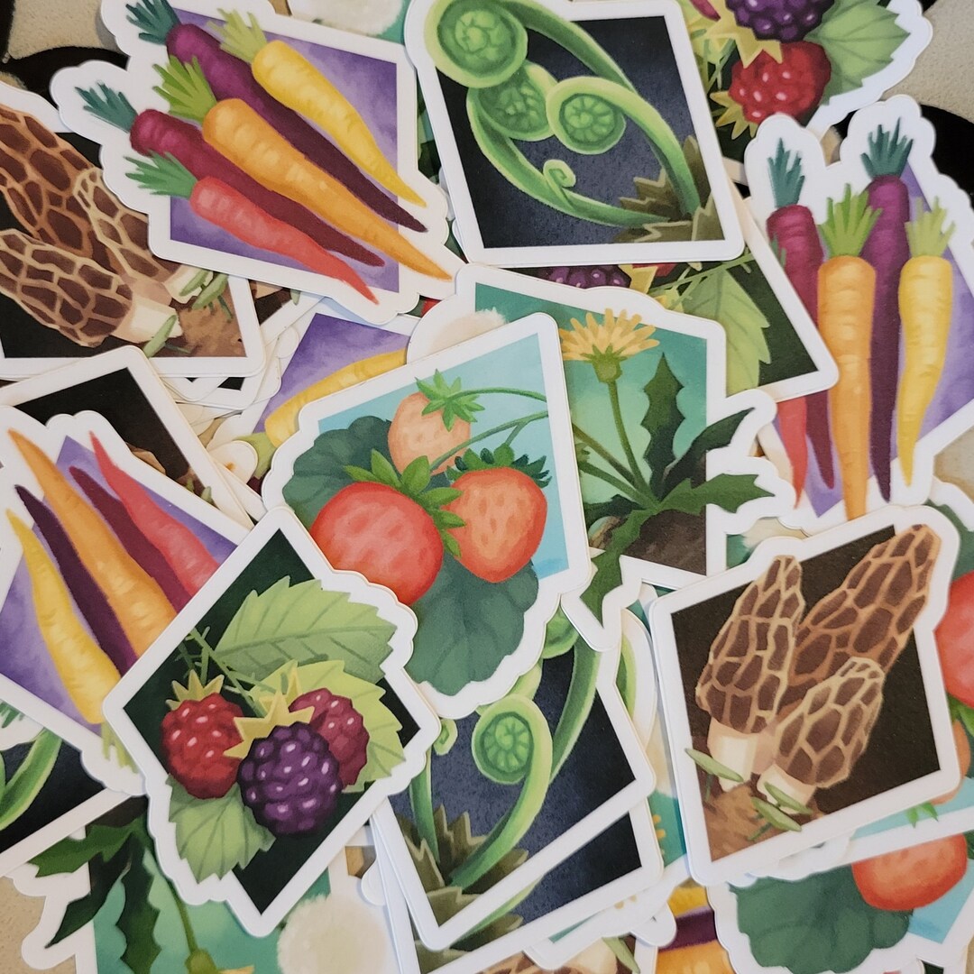 Wild Seeds Blind Bag Stickers - Etsy