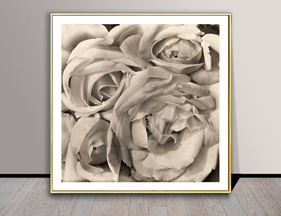 Prints Tina Modotti