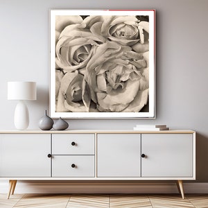 Roses by Tina Modotti Fine Art Print - Floral Print / Gift Idea / Wall ...