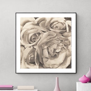 Roses by Tina Modotti Fine Art Print Poster Paper or Canvas Print ...