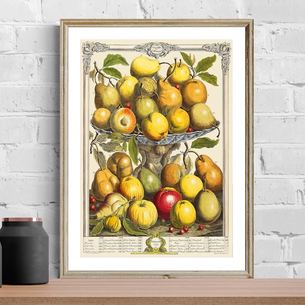 Vintage Fruits Poster - Etsy