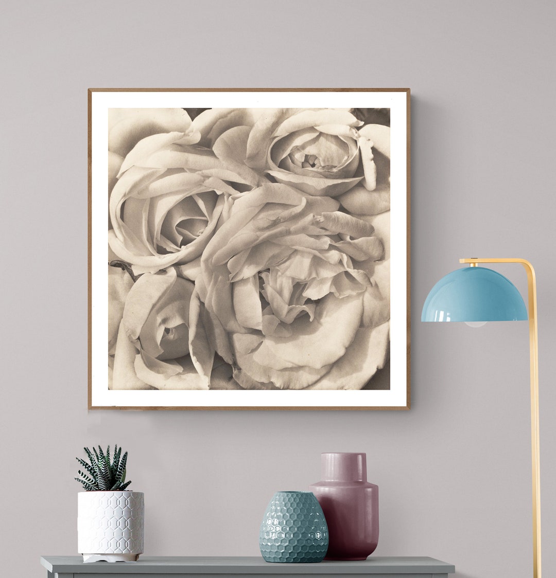 Roses by Tina Modotti Fine Art Print Poster Paper or Canvas Print ...