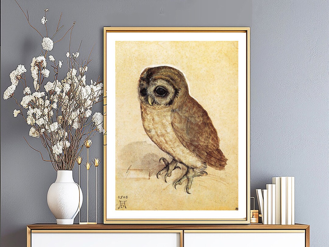 Little Owl by Albrecht Durer Fine Art Print, Animal Artwork ...