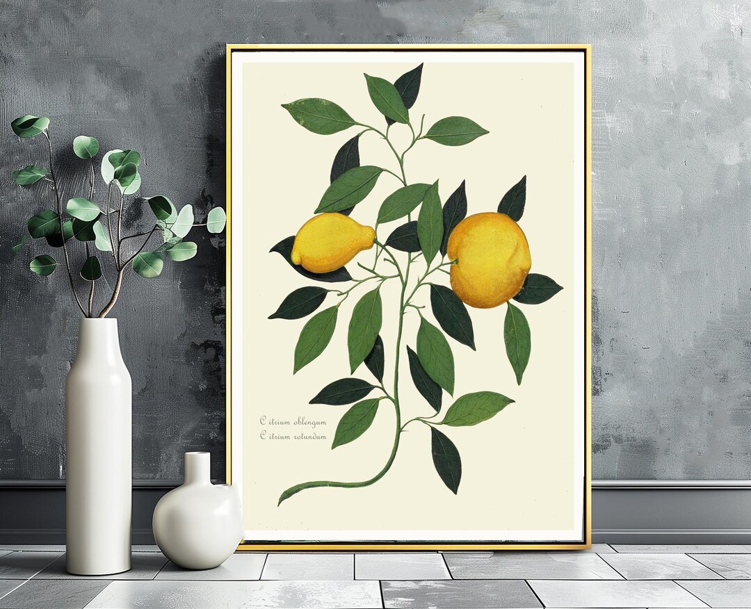 Vintage Italian Lemon Tree Botanical Poster - Botanical Art, Vintage ...