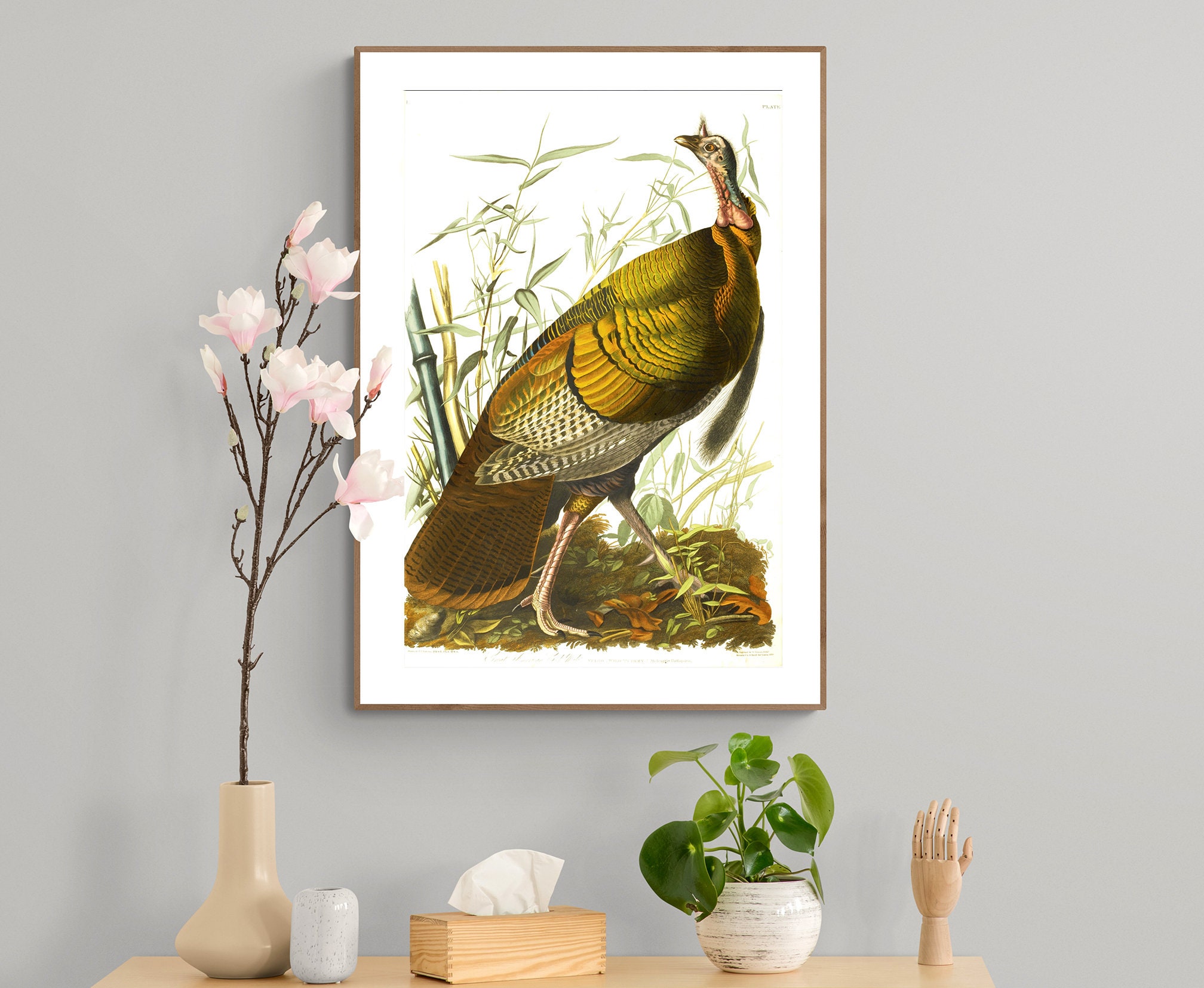 The Birds of America by John James Audubon Fine Art Print | Etsy