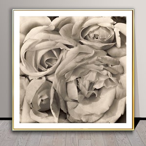 Roses by Tina Modotti Fine Art Print - Floral Print / Gift Idea / Wall ...