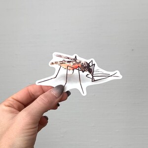 Mosquito Sticker, Mosquito, Science Stickers, Science, Laptop Stickers ...