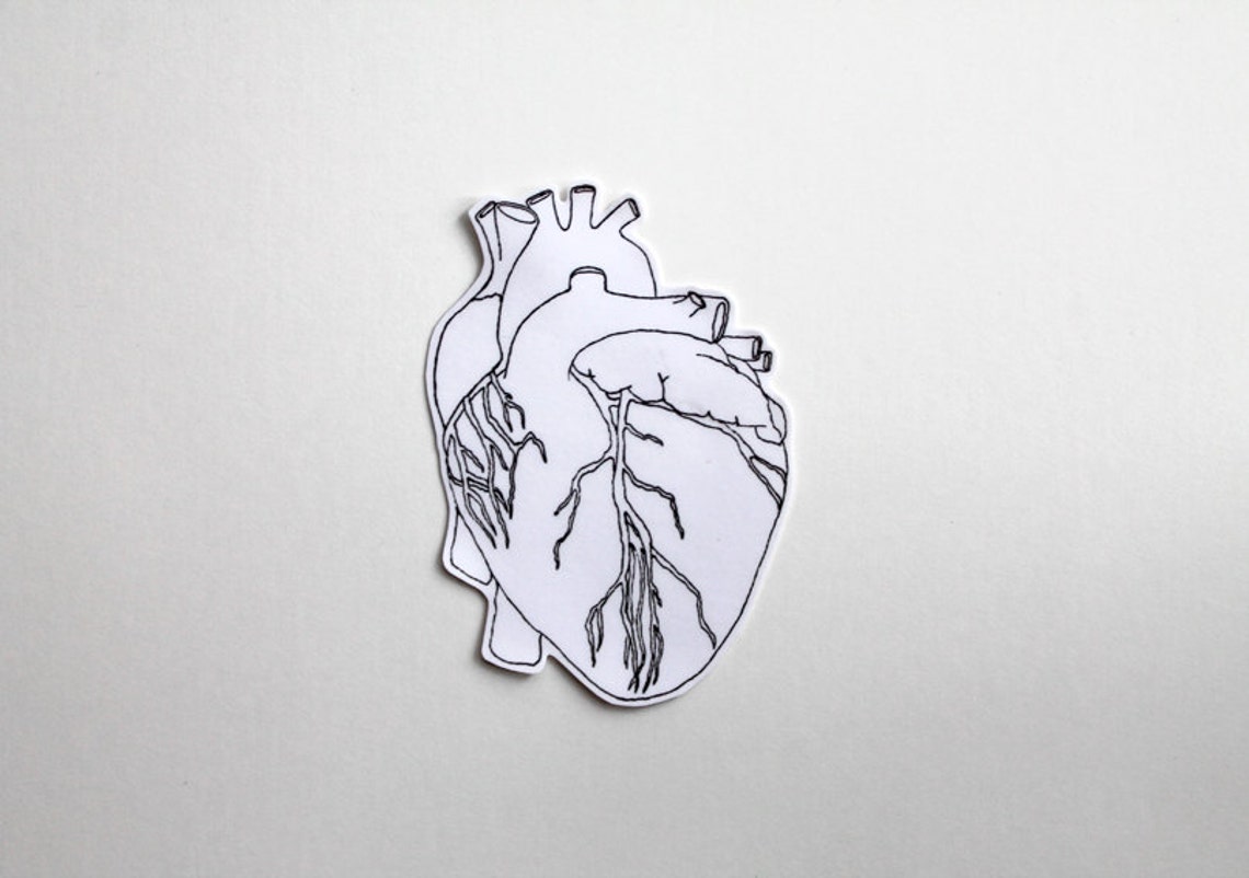 Anatomical Heart Heart Sticker Anatomical Heart Sticker - Etsy